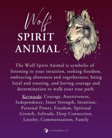 Wolf Spirit Animal Meaning and Symbolism (+ Worksheet)