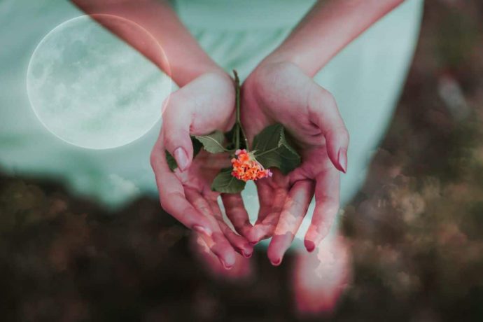 8 Mystical Herbs and Legal Psychedelics For Lucid Dreaming ⋆ LonerWolf