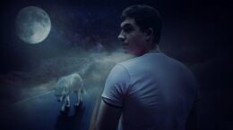 Spiritual Signs & Omens: 3 Ways You Encounter Them ⋆ LonerWolf