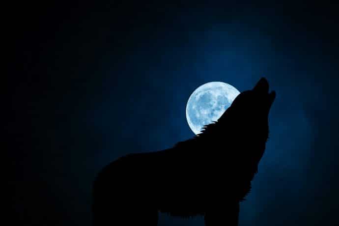 Spiritual Awakening: 23 Major Signs + Symptoms ⋆ LonerWolf