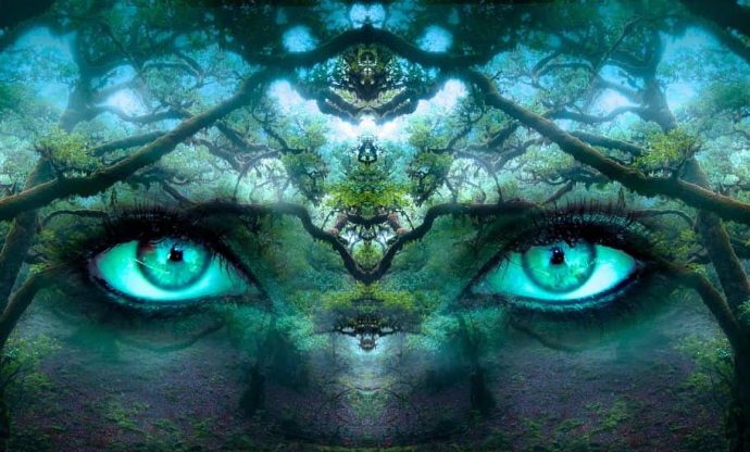 7 Types of Spirit Guides (& How to Connect With Them) ⋆ LonerWolf