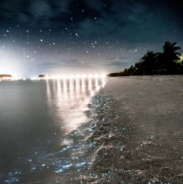 Magic of Synchronicity: 7 Ways to Discover Its Deeper Meaning ⋆ LonerWolf