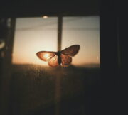 Magic of Synchronicity: 7 Ways to Discover Its Deeper Meaning ⋆ LonerWolf