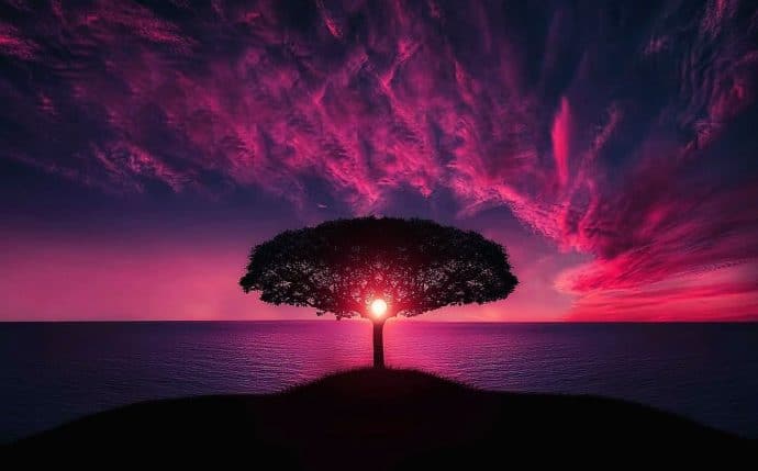 The 9 Stages of Spiritual Self-Realization ⋆ LonerWolf