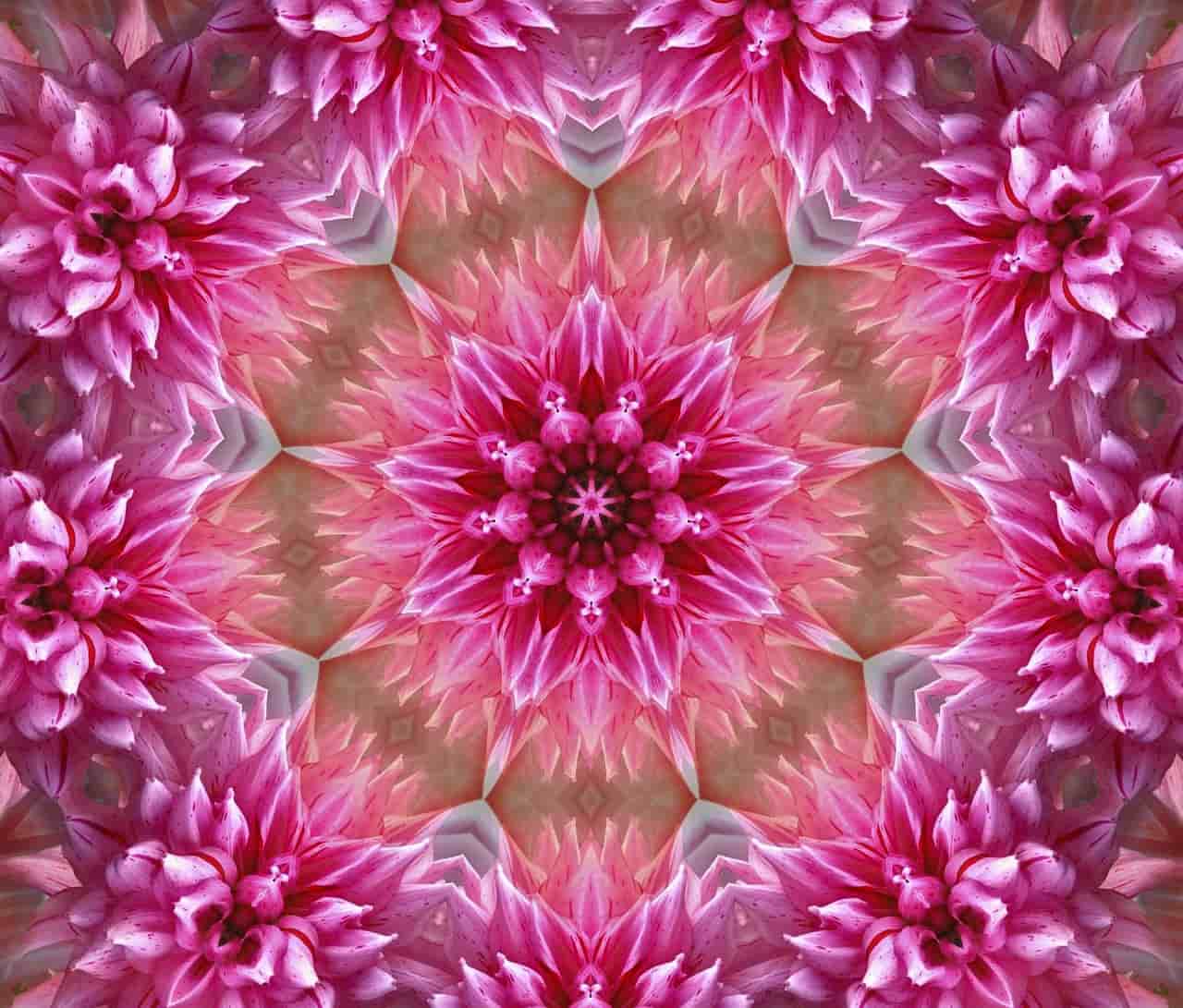 Divine Feminine 9 Ways To Awaken The Holy Fire Of Shakti ⋆ Lonerwolf