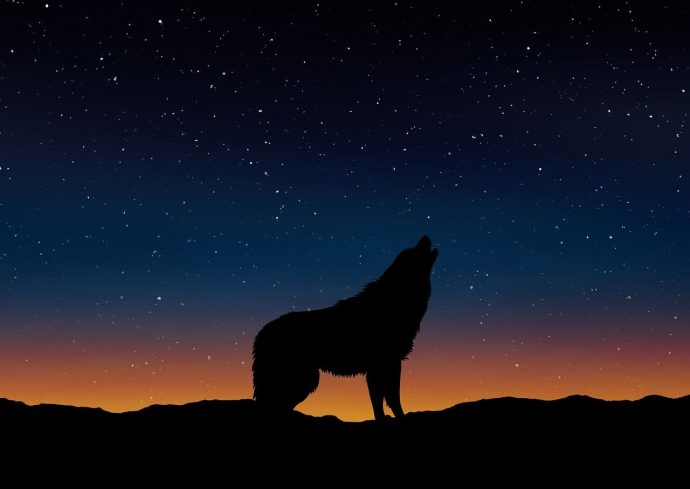 The Two Wolves Story (Here's its Deeper Meaning) ⋆ LonerWolf