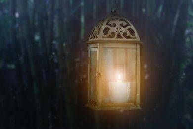 Shadow Self: 13 Types & How to Embrace Your Dark Side ⋆ LonerWolf