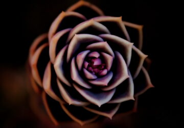 What is a Mystic? (12 Signs You’re One) ⋆ LonerWolf