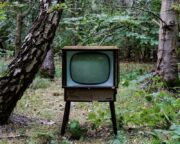 9 Best Spiritual Documentaries To Watch (+ Trailers) ⋆ LonerWolf