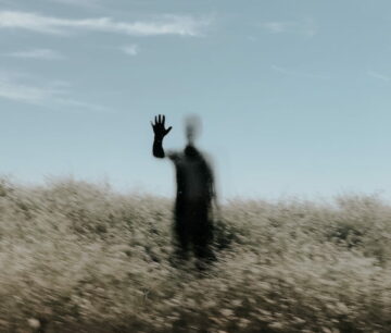 Feeling Disconnected & Sad (7 Healing Paths) ⋆ LonerWolf