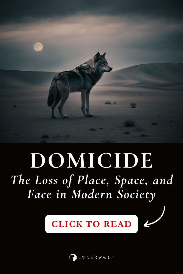 Domicide: The Loss of Place, Space, and Face in Modern Society ⋆ LonerWolf