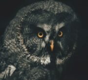 9 Signs You’re a Spiritual Wanderer ⋆ LonerWolf