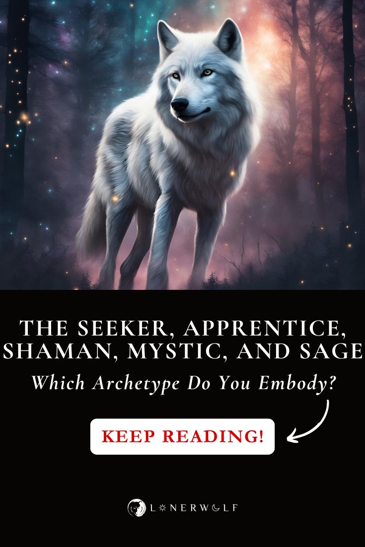 Which Archetype Are You: The Seeker, Apprentice, Shaman, Mystic or Sage? ⋆ LonerWolf