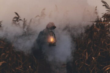 7 Lone Wolf Personality Signs (and Your Unique Gifts) ⋆ LonerWolf