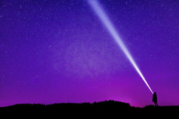 7 Lone Wolf Personality Signs (and Your Unique Gifts) ⋆ LonerWolf