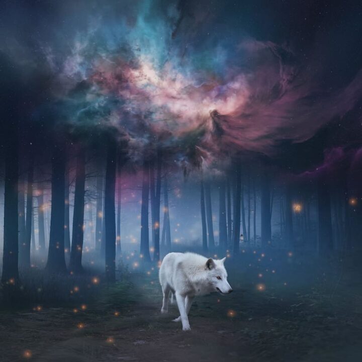 7 Lone Wolf Personality Signs (and Your Unique Gifts) ⋆ LonerWolf