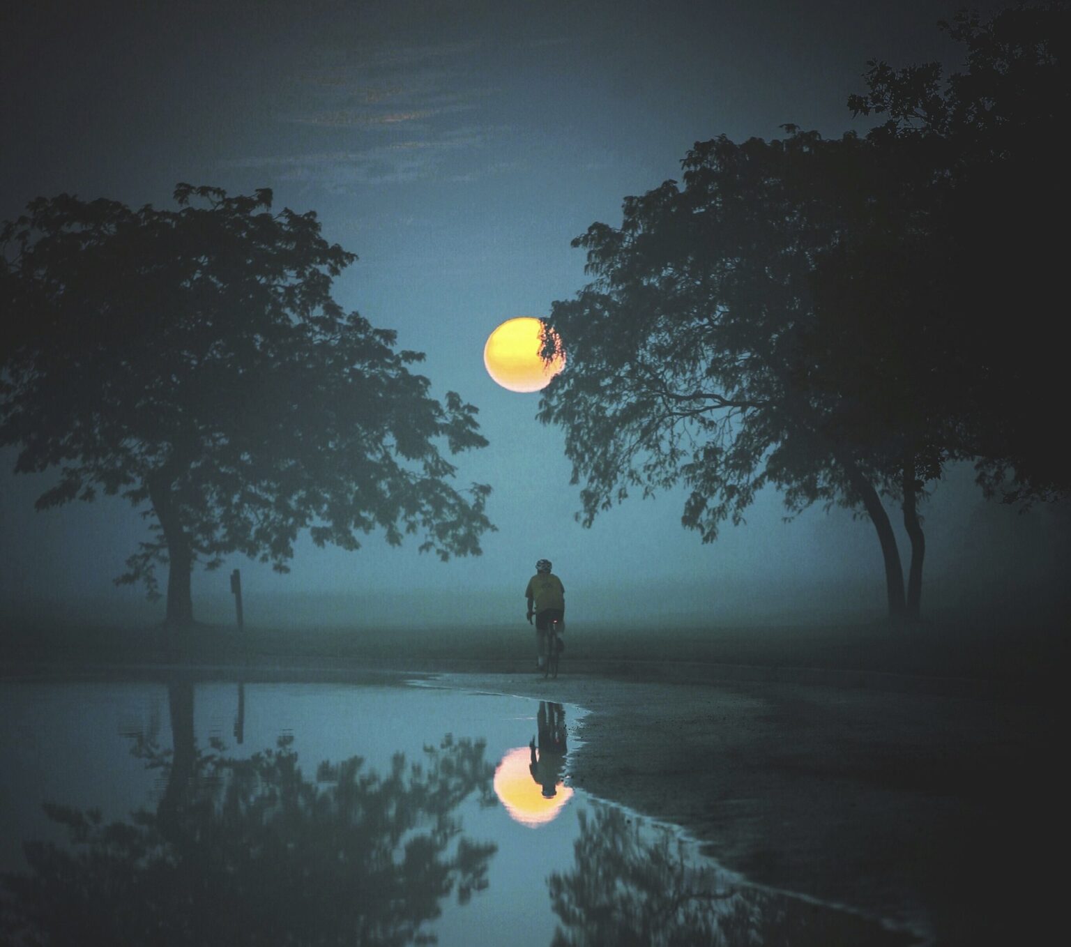 The Lone Wolf Mentality: It's Not a Sickness, It's a Superpower ⋆ LonerWolf