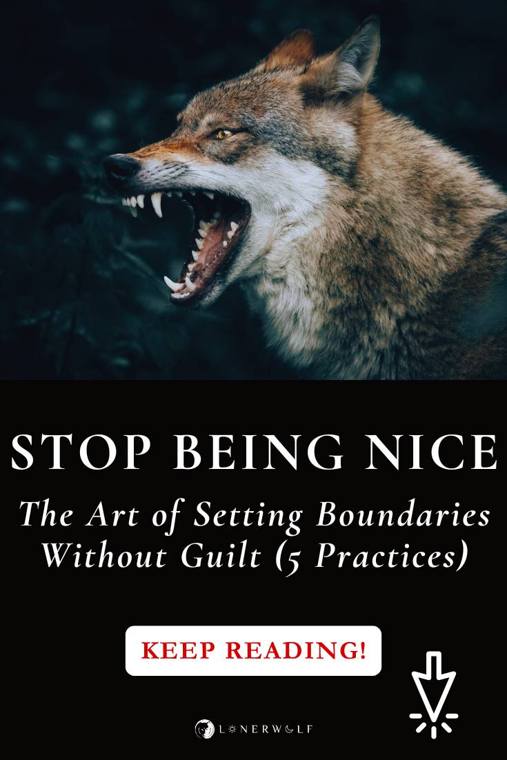 Stop Being Nice: The Art of Setting Boundaries Without Guilt ⋆ LonerWolf