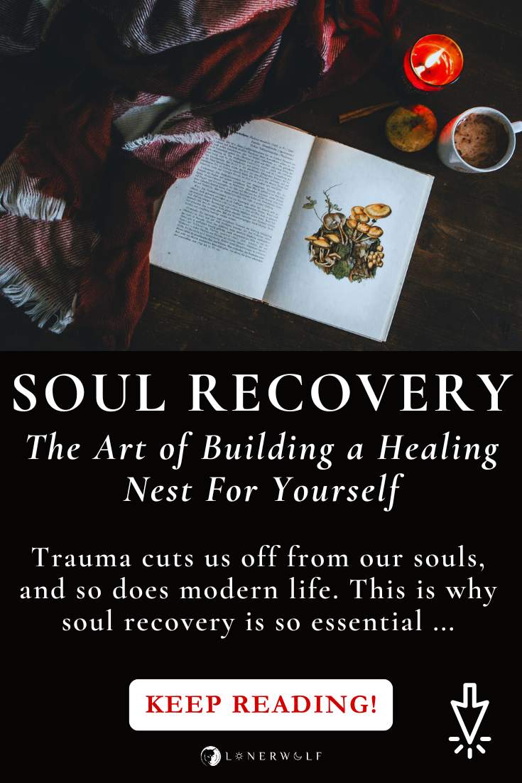Soul Recovery: The Art of Building a Healing Nest For Yourself ⋆ LonerWolf